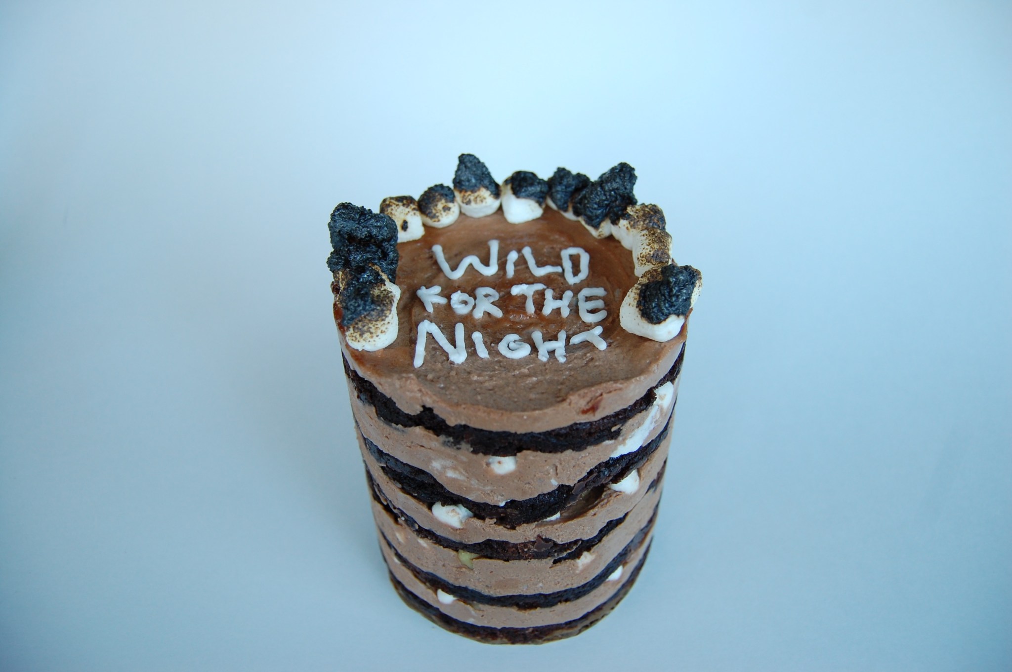 tomato can rapper cakes – LENA'S LUNCHBOX