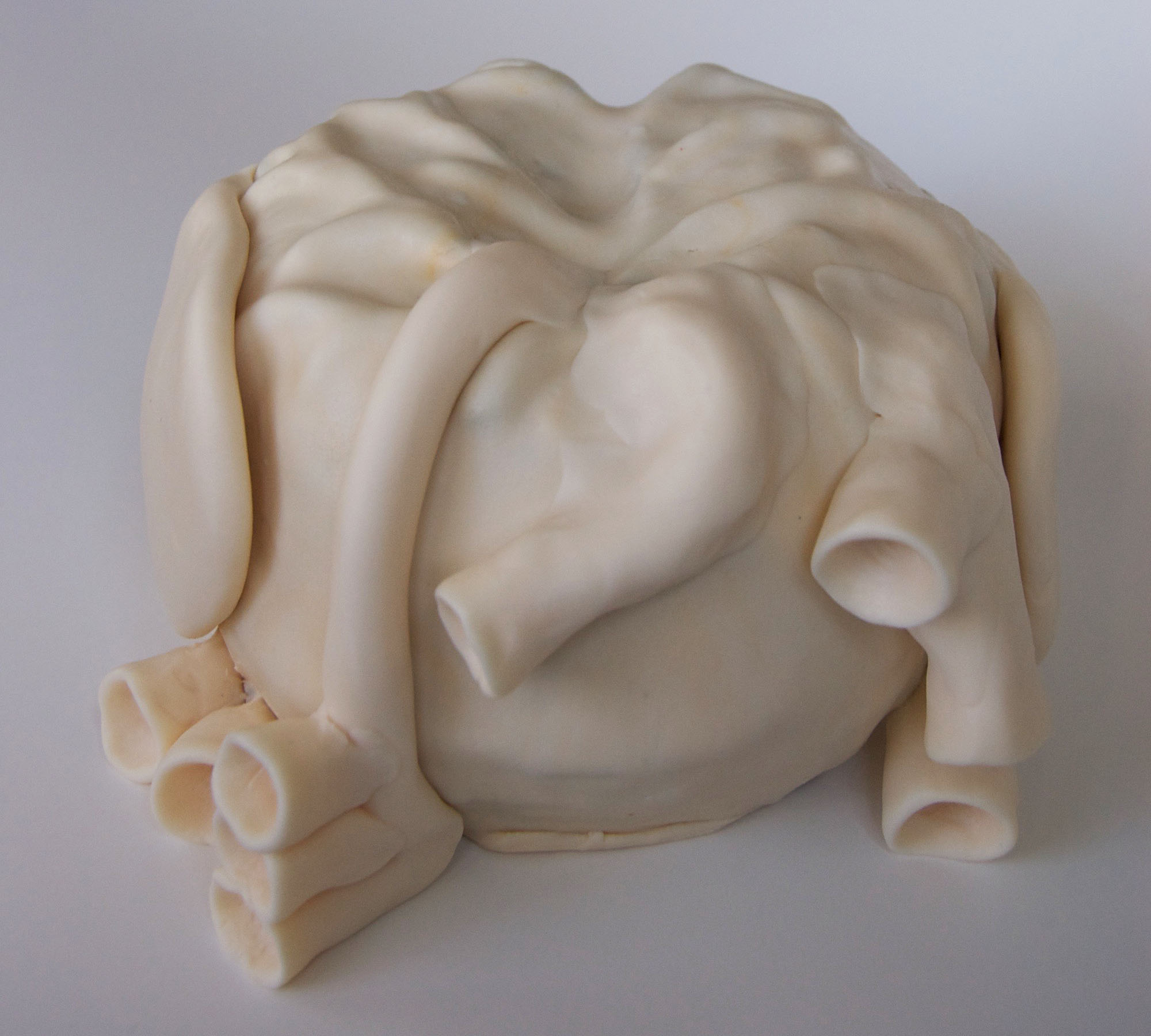 anatomical heart cake – LENA'S LUNCHBOX