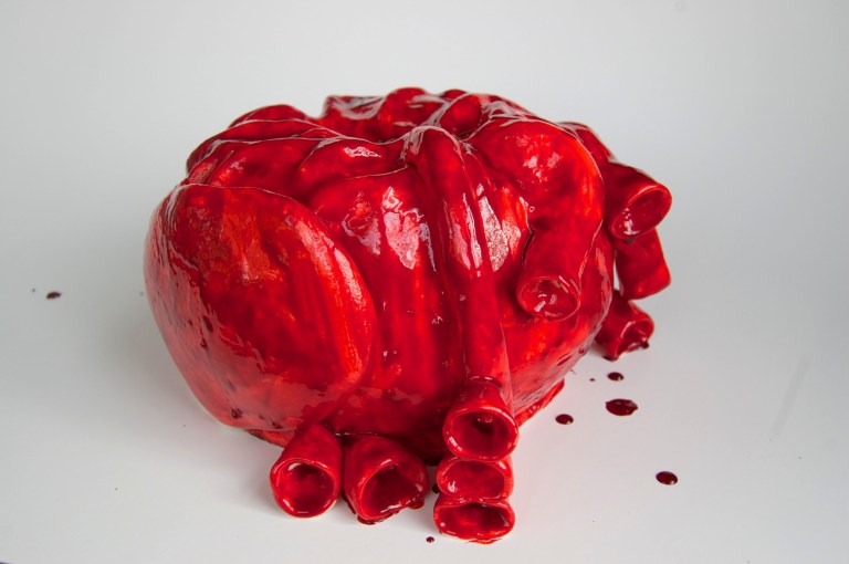 anatomical heart cake – LENA'S LUNCHBOX