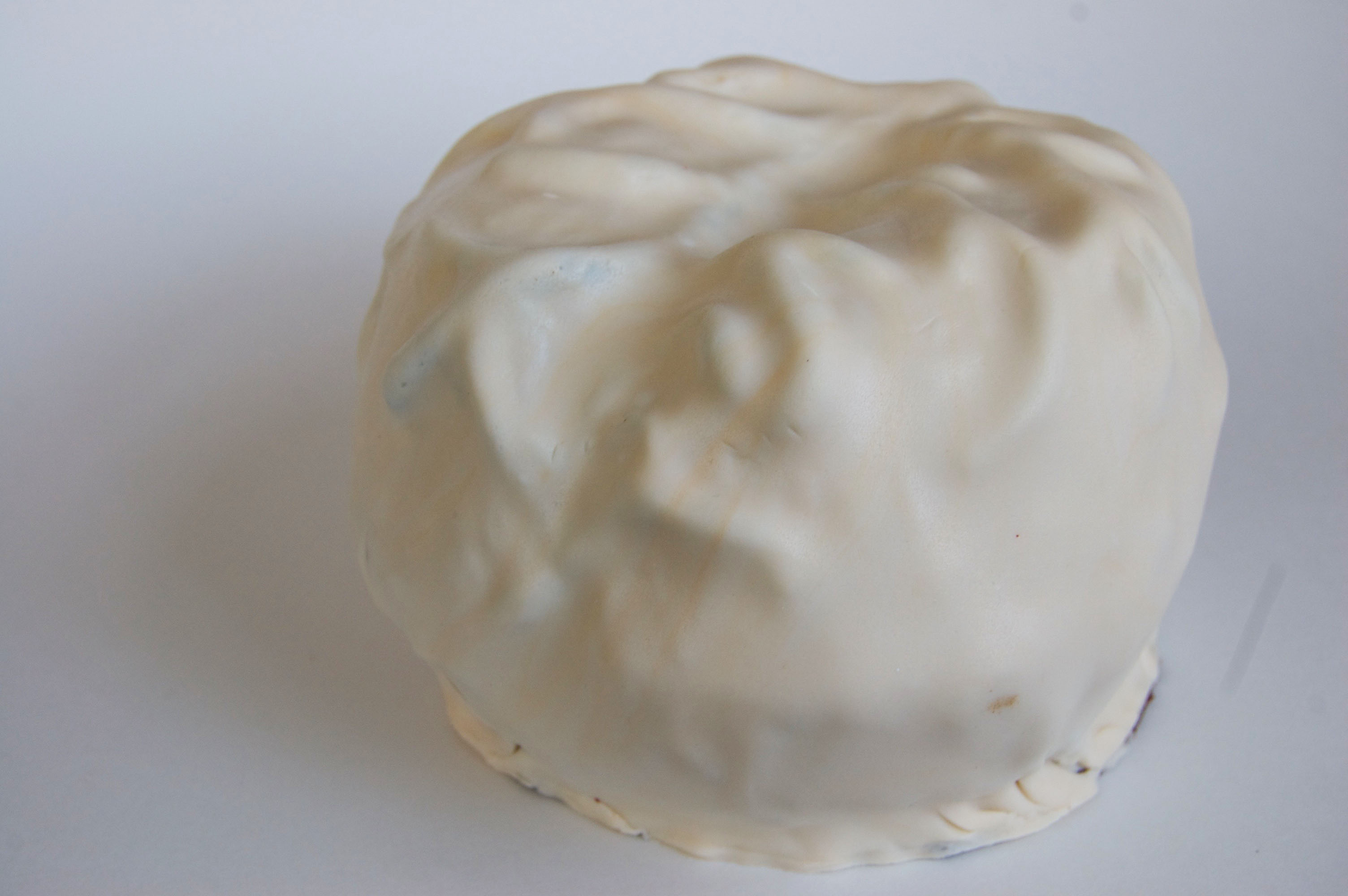 anatomical heart cake – LENA'S LUNCHBOX