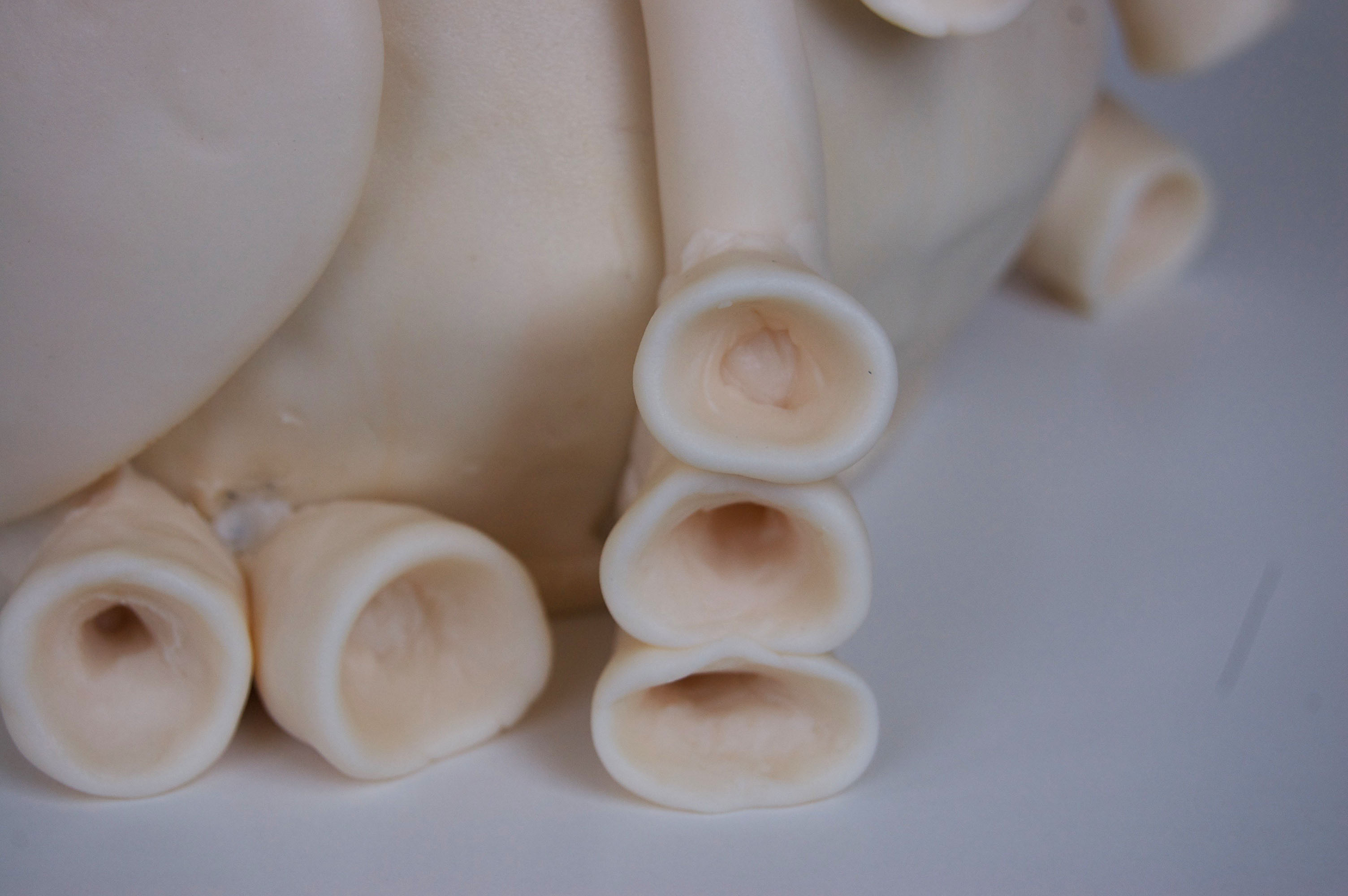 anatomical heart cake – LENA'S LUNCHBOX