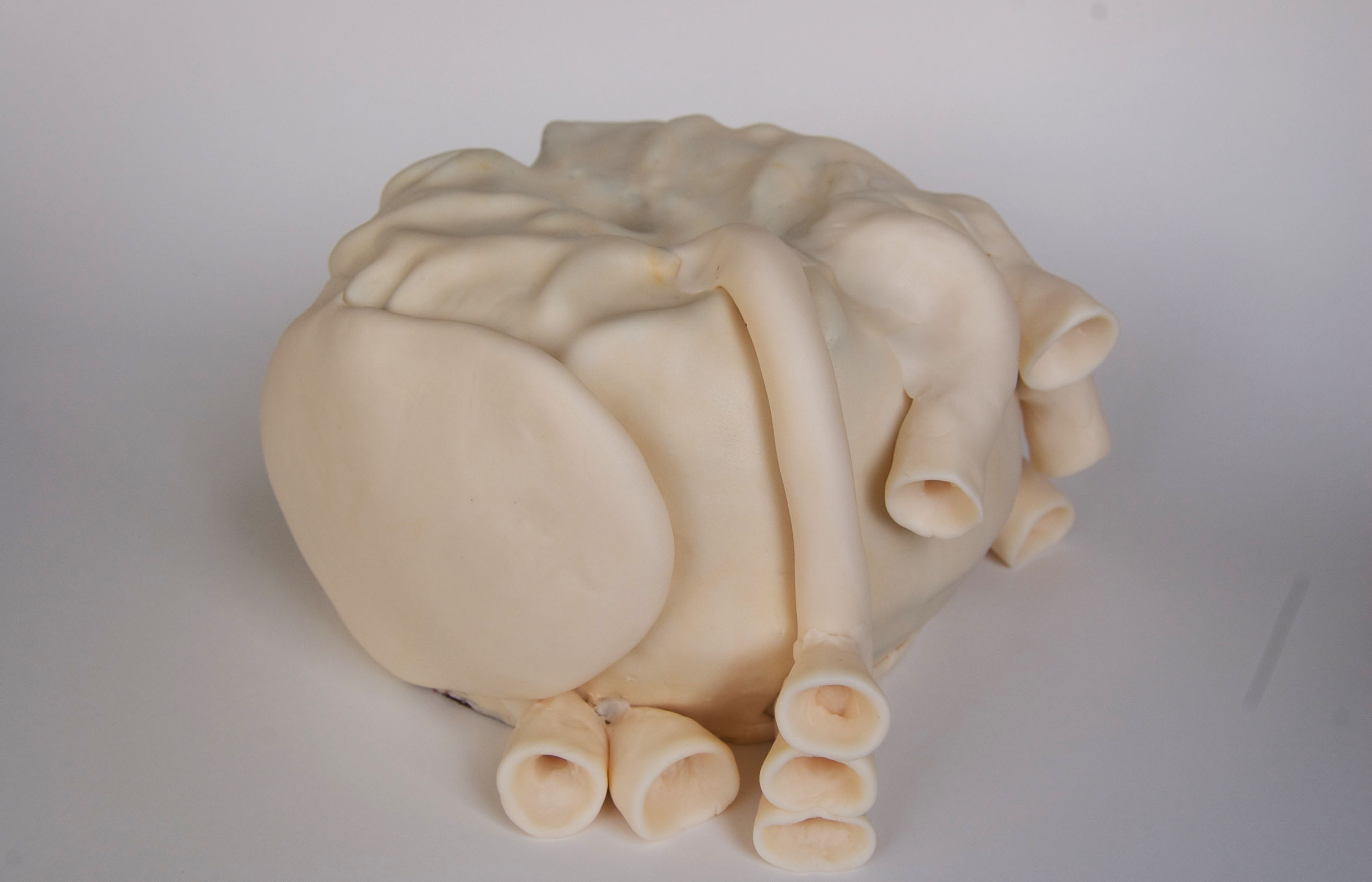 anatomical heart cake – LENA'S LUNCHBOX