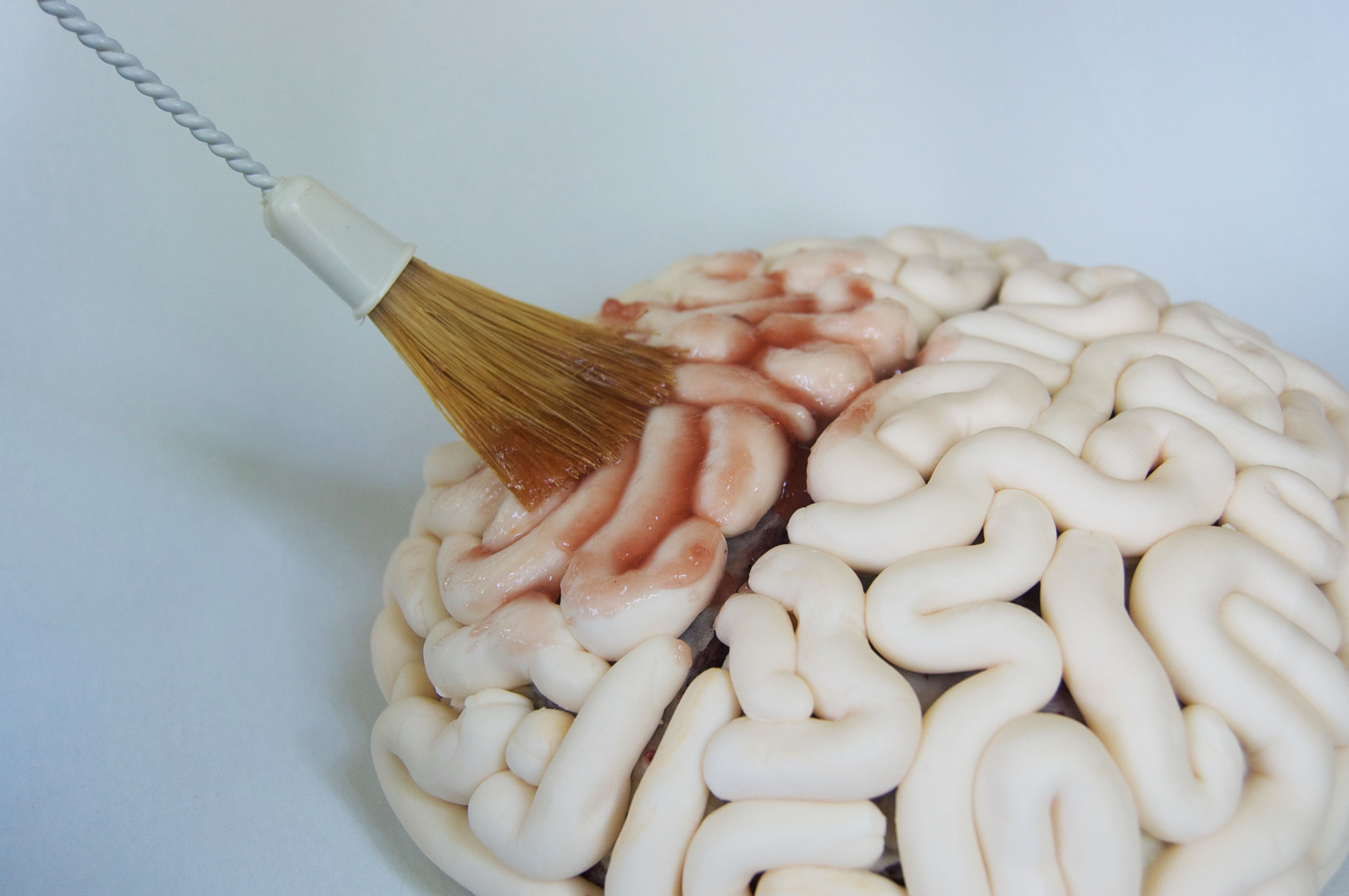 human brain cake – LENA'S LUNCHBOX