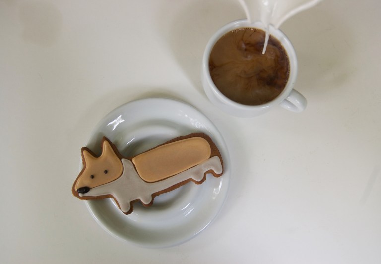 gingerbread corgi cookies – LENA'S LUNCHBOX